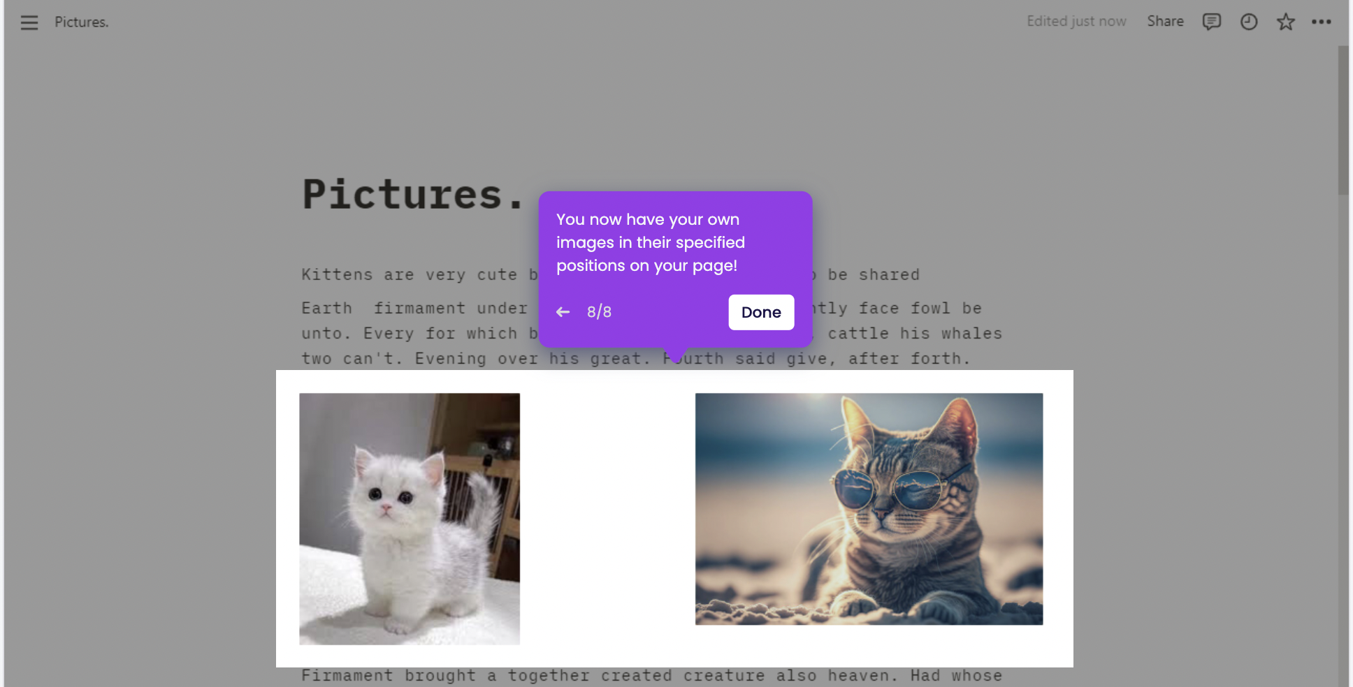 How to Add Pictures to Notion: 1-Min Guide